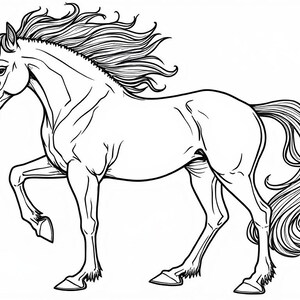 40 Majestic Horse Coloring Pages: Animal Art Therapy (digital ...