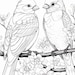 Exquisite Avian Artistry: 40 Gorgeous Bird Coloring Pages, Beautiful ...