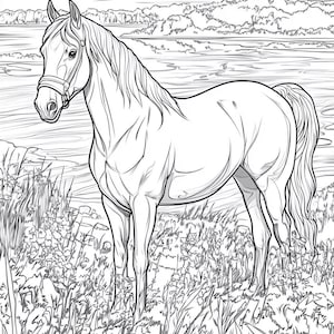Majestic Horses Coloring Book: 40 Detailed Illustrations (digital ...