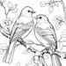 Exquisite Avian Artistry: 40 Gorgeous Bird Coloring Pages, Beautiful ...