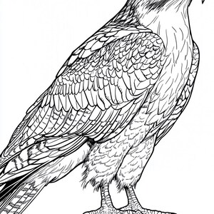 Feathered Friends Coloring Collection: 40 Gorgeous Bird Coloring Pages ...