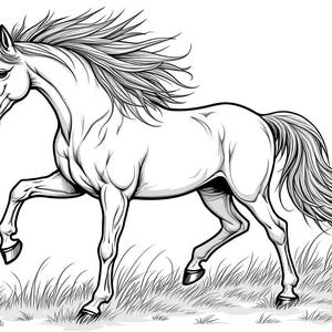 40 Majestic Horse Coloring Pages: Animal Art Therapy (digital ...