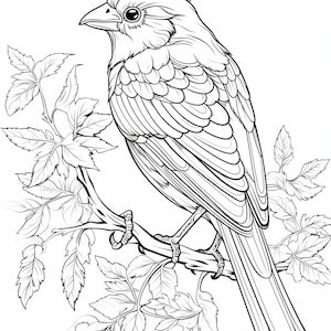 Exquisite Avian Artistry: 40 Gorgeous Bird Coloring Pages, Beautiful ...