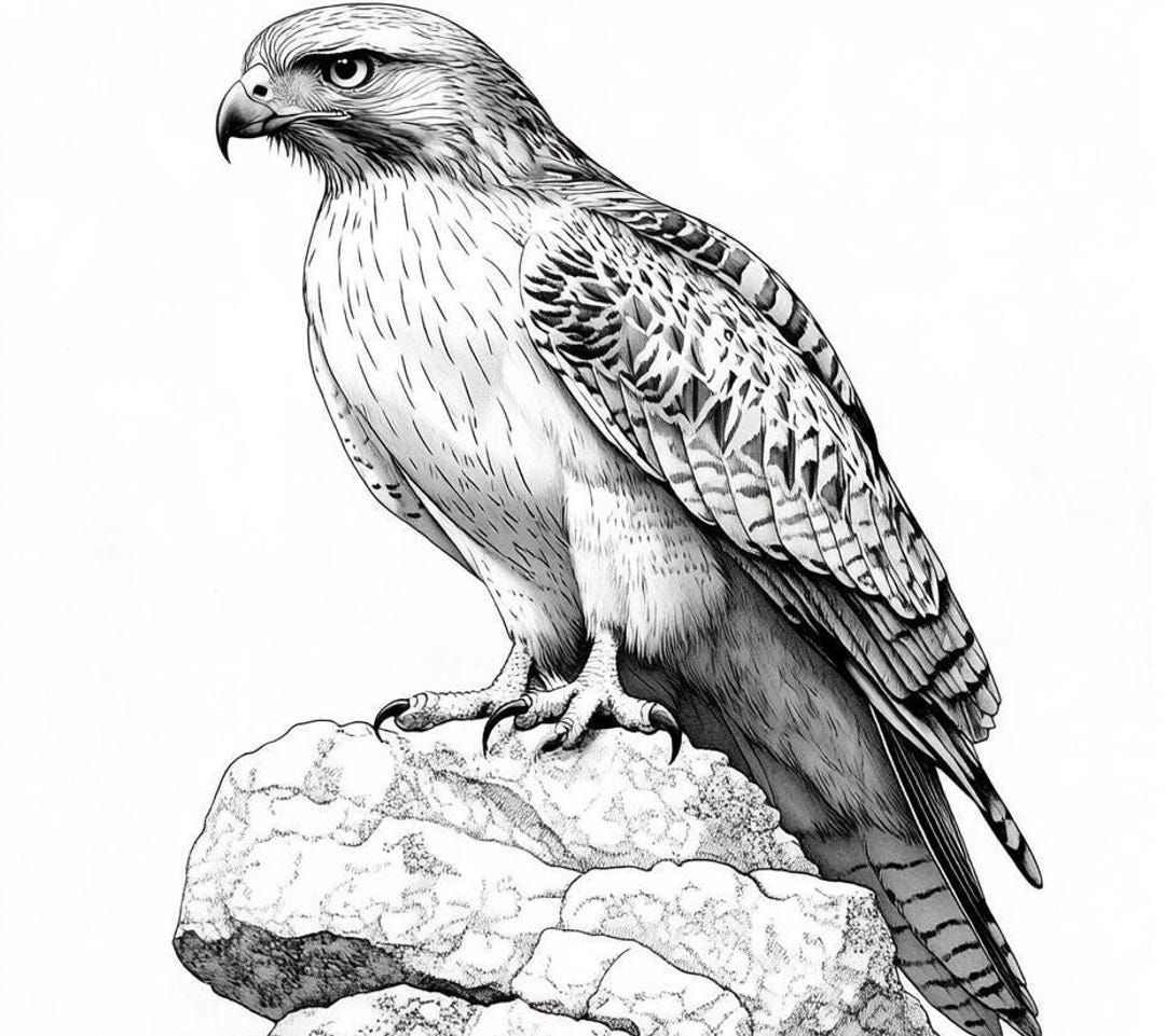Birds of Prey Coloring Collection: 40 Gorgeous Bird Coloring Pages ...