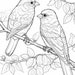 Exquisite Avian Artistry: 40 Gorgeous Bird Coloring Pages, Beautiful ...