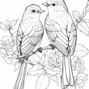 Exquisite Avian Artistry: 40 Gorgeous Bird Coloring Pages, Beautiful ...