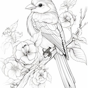 Exquisite Avian Artistry: 40 Gorgeous Bird Coloring Pages, Beautiful ...