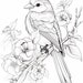 Exquisite Avian Artistry: 40 Gorgeous Bird Coloring Pages, Beautiful ...