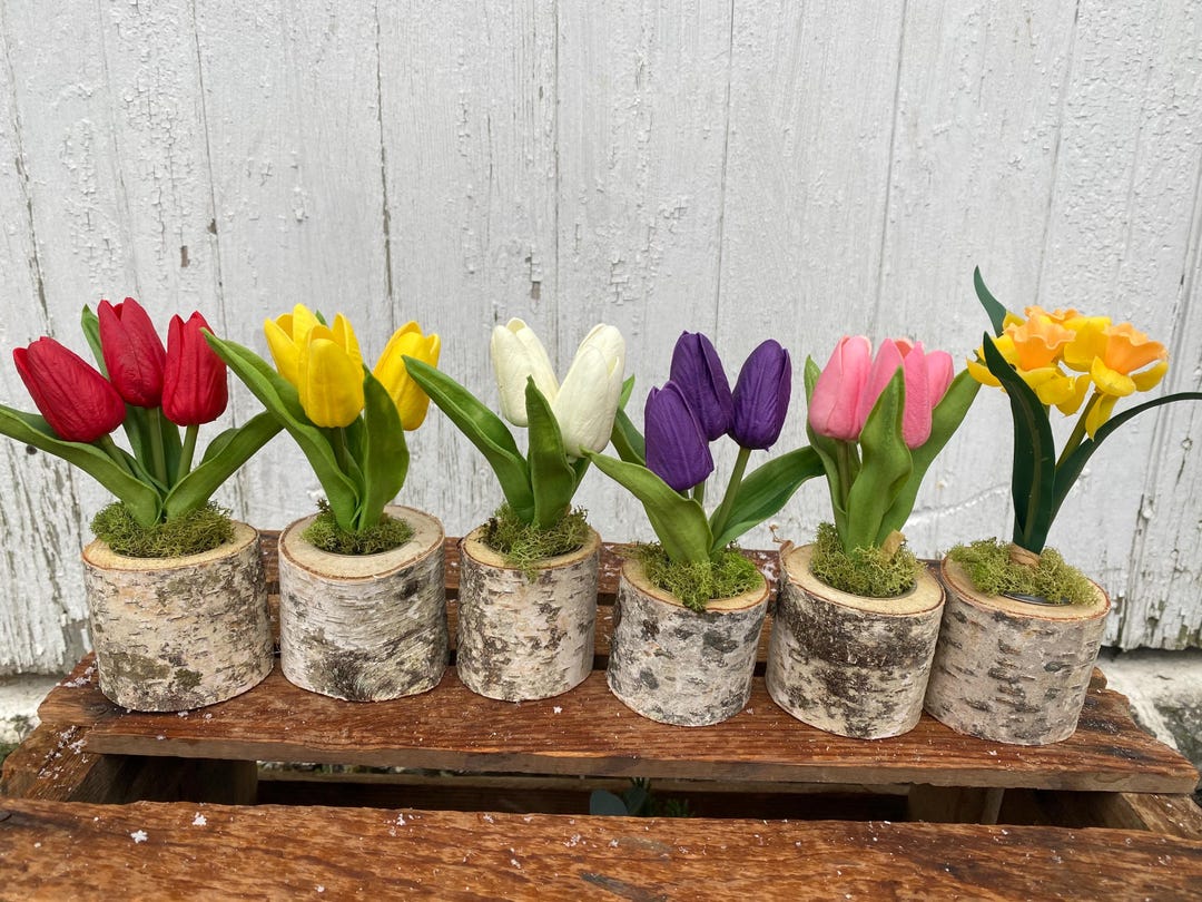 Tulip & Daffodil Inserts - Etsy