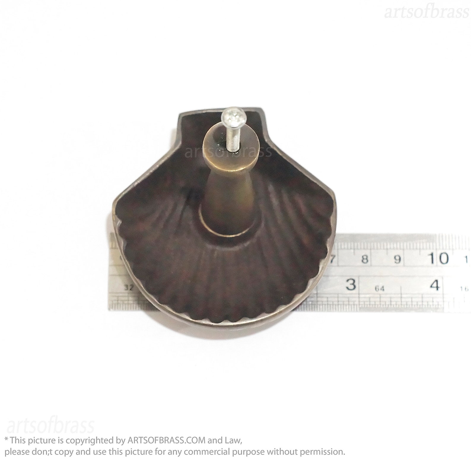 2.75 in Vintage CLAM SHELL, Solid Brass Clam Shells Charm Cabinet ...