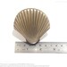 2.75 in Vintage CLAM SHELL, Solid Brass Clam Shells Charm Cabinet ...