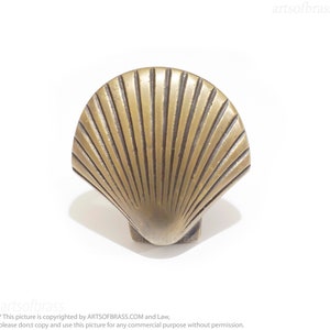 2.75" in Vintage CLAM SHELL, Solid Brass Clam Shells Charm Cabinet ...