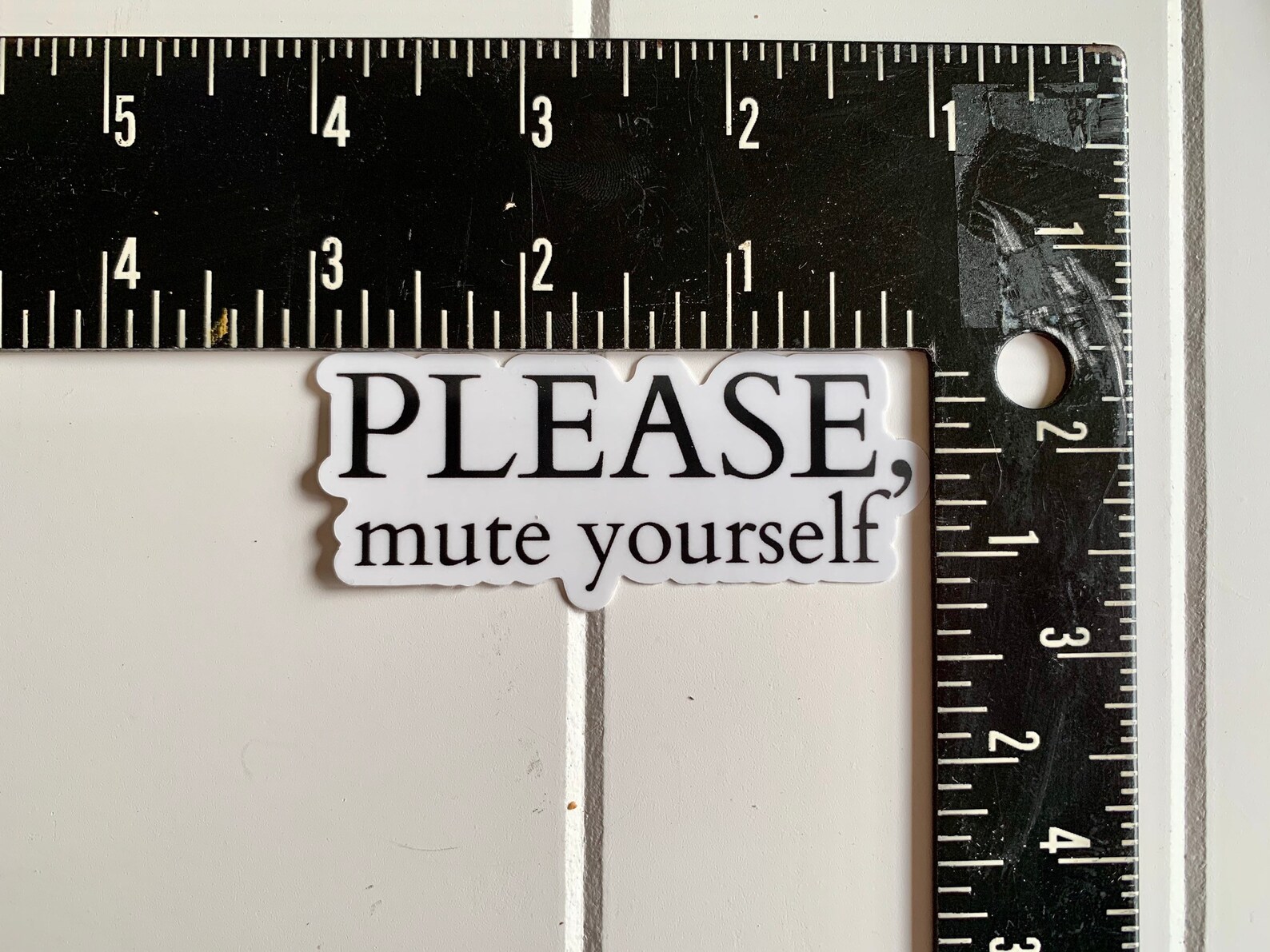 Please Mute Yourself Vinyl Sticker, Funny Laptop Sticker, Funny Office ...