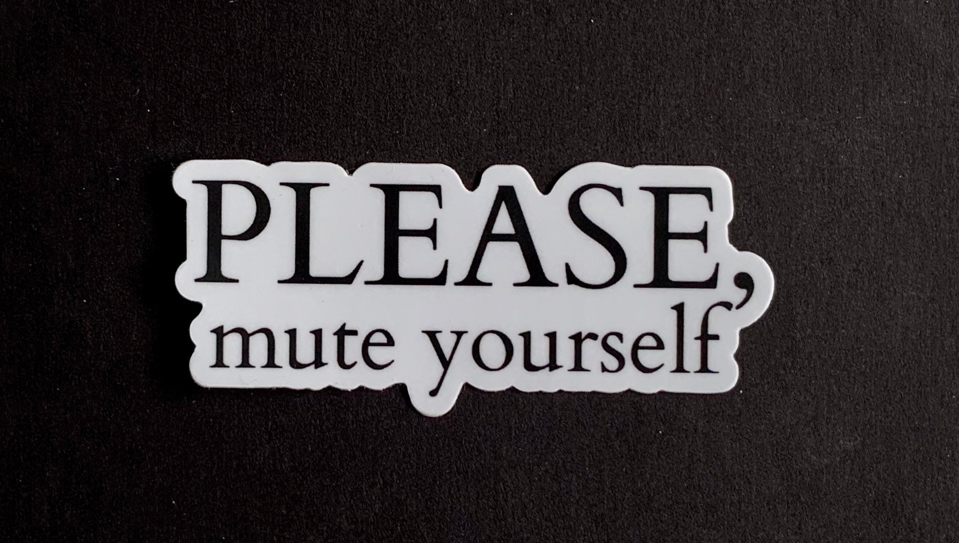 Please Mute Yourself Vinyl Sticker, Funny Laptop Sticker, Funny Office ...