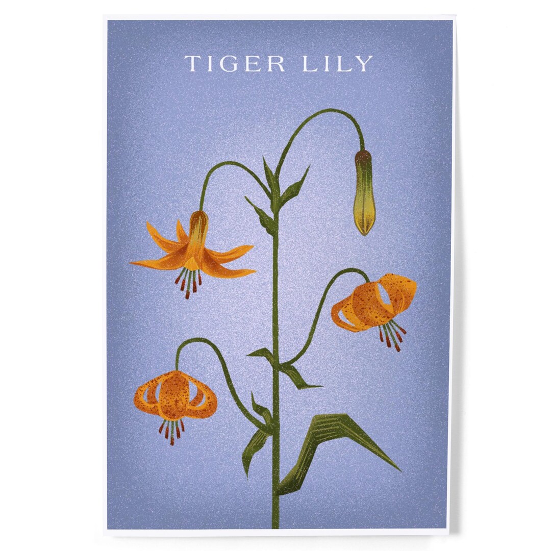 Prints, Vintage Flora, Tiger Lily, Posters, Hang Ready - Etsy