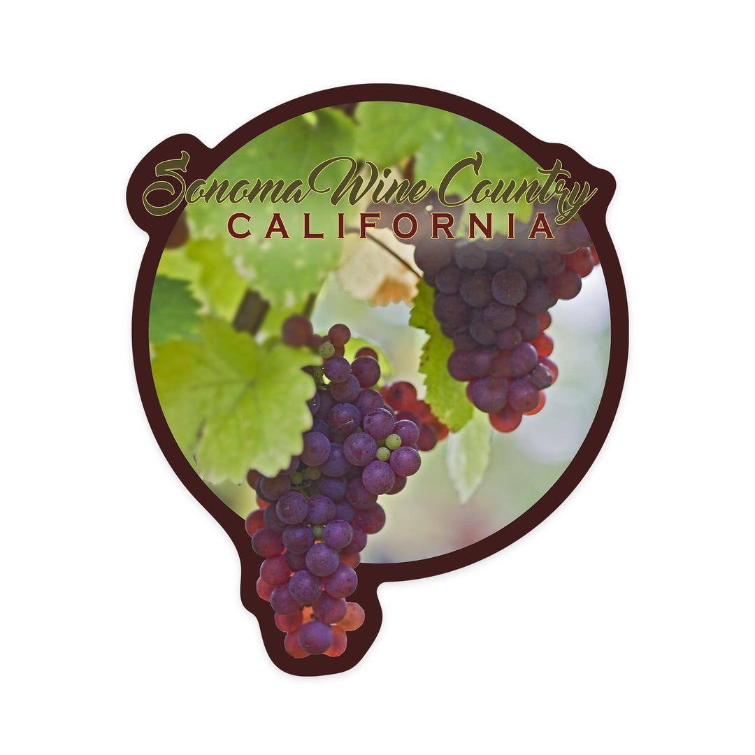 Sticker, Sonoma Wine Country, Wine Grapes on Vine #3, Contour , Vinyl ...