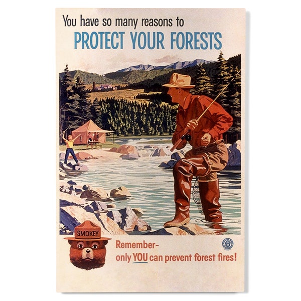 Smokey Bear Poster - Etsy