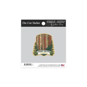 Sticker Point Reyes California Redwoods Forest View - Etsy