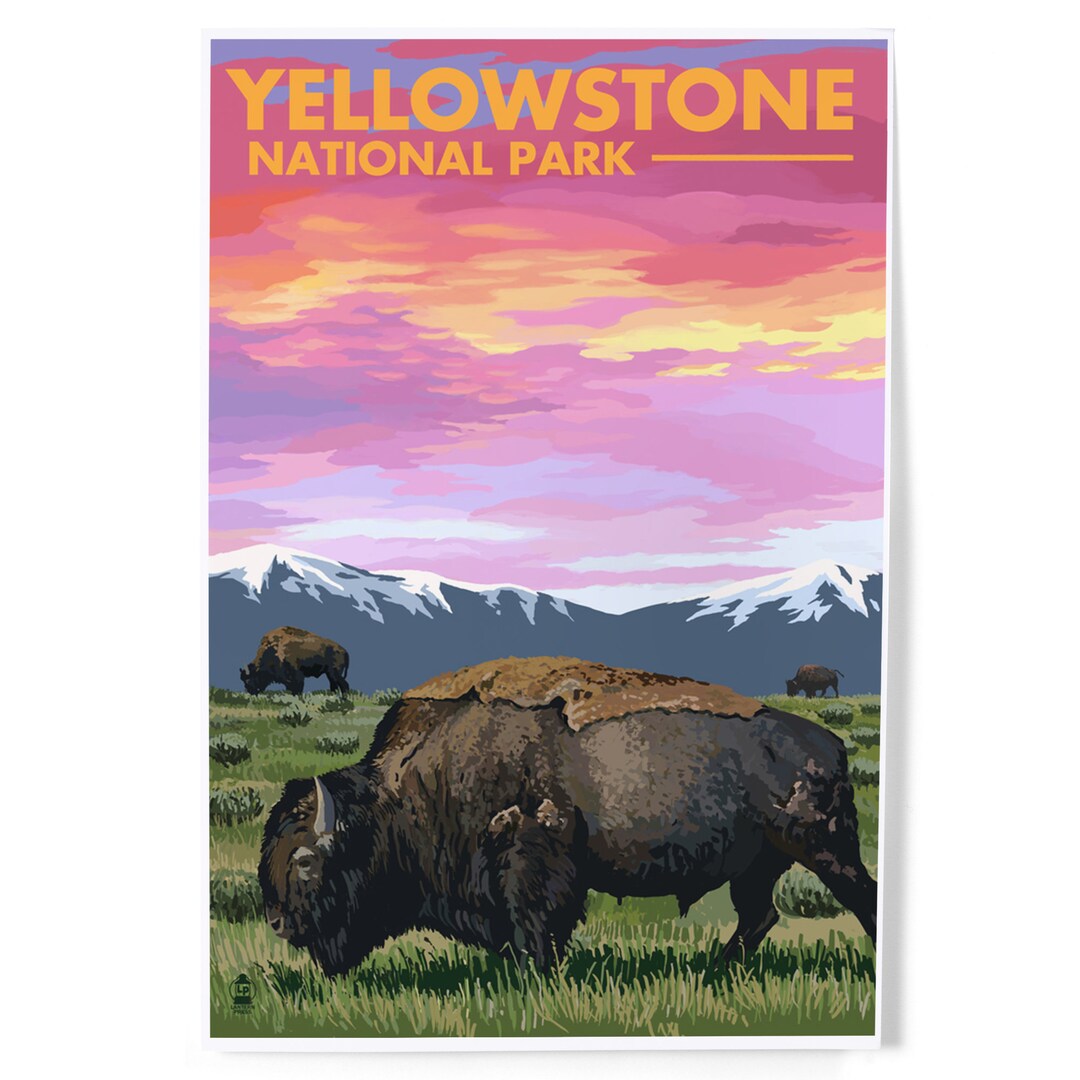 Prints, Yellowstone National Park, Bison and Sunset, Posters, Hang ...