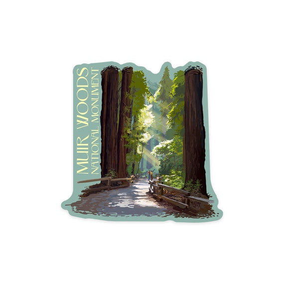 Sticker Muir Woods National Monument California Pathway | Etsy