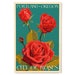 Playing Cards, Black Labrador, Retro Boats Ad, 52 Card Deck With Jokers ...