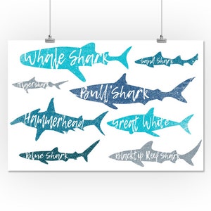 Prints Signs Sharks Pattern Shark Names Unique Metal Art - Etsy