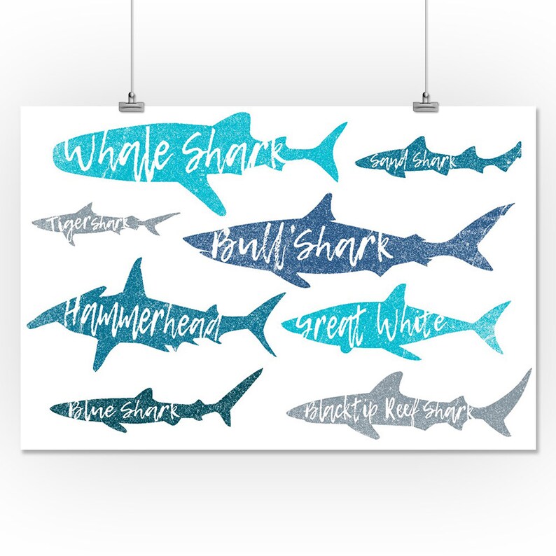 Prints Signs Sharks Pattern Shark Names Unique Metal Art - Etsy