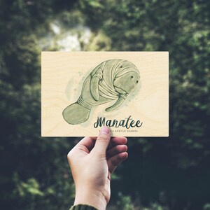 Birch Wood Manatee Florida's Gentle Giant Watercolor - Etsy