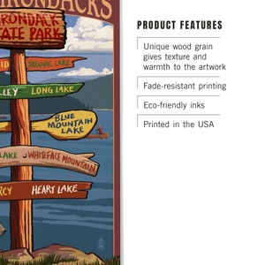 Birch Wood, Adirondacks, New York, Destination Signpost, Sustainable ...