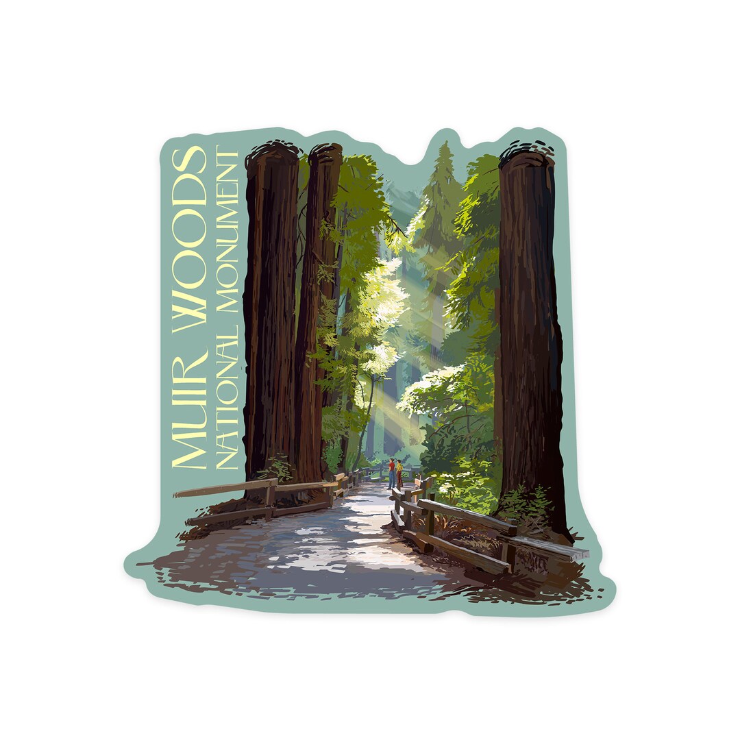 Sticker, Muir Woods National Monument, California, Pathway, Contour ...