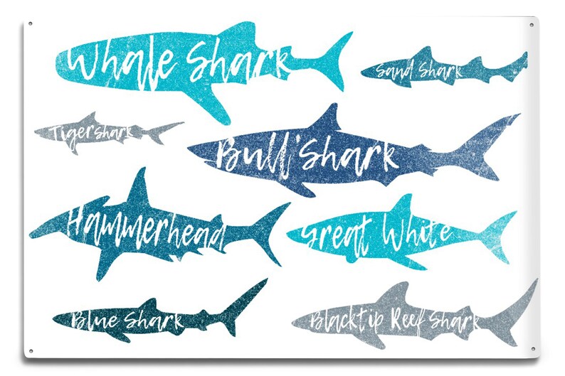 Prints Signs Sharks Pattern Shark Names Unique Metal Art - Etsy
