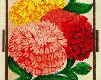 Seed packet art | Etsy