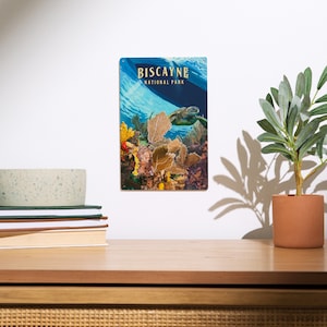 Birch Wood, Biscayne National Park, Florida, Painterly National Park ...