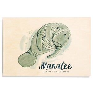 Birch Wood, Manatee, Florida's Gentle Giant, Watercolor, Sustainable ...