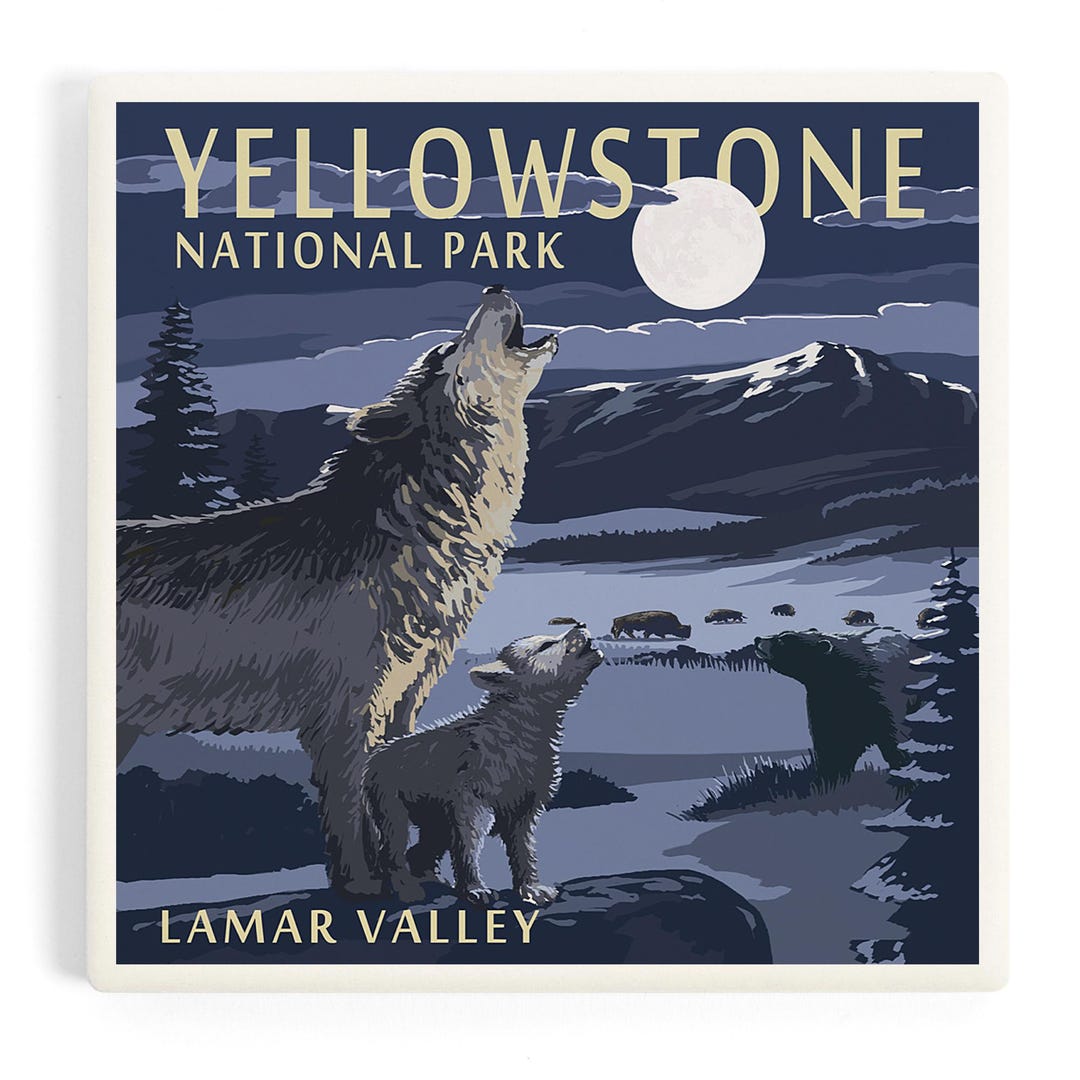Coasters, Yellowstone National Park, Montana, Lamar Valley Scene, Cork ...