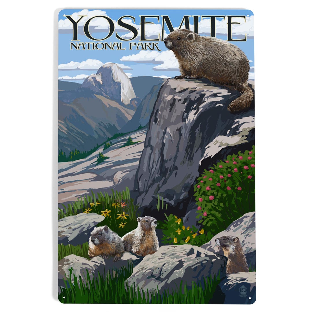 Metal Signs, Yosemite National Park, California, Marmots, Unique Metal ...