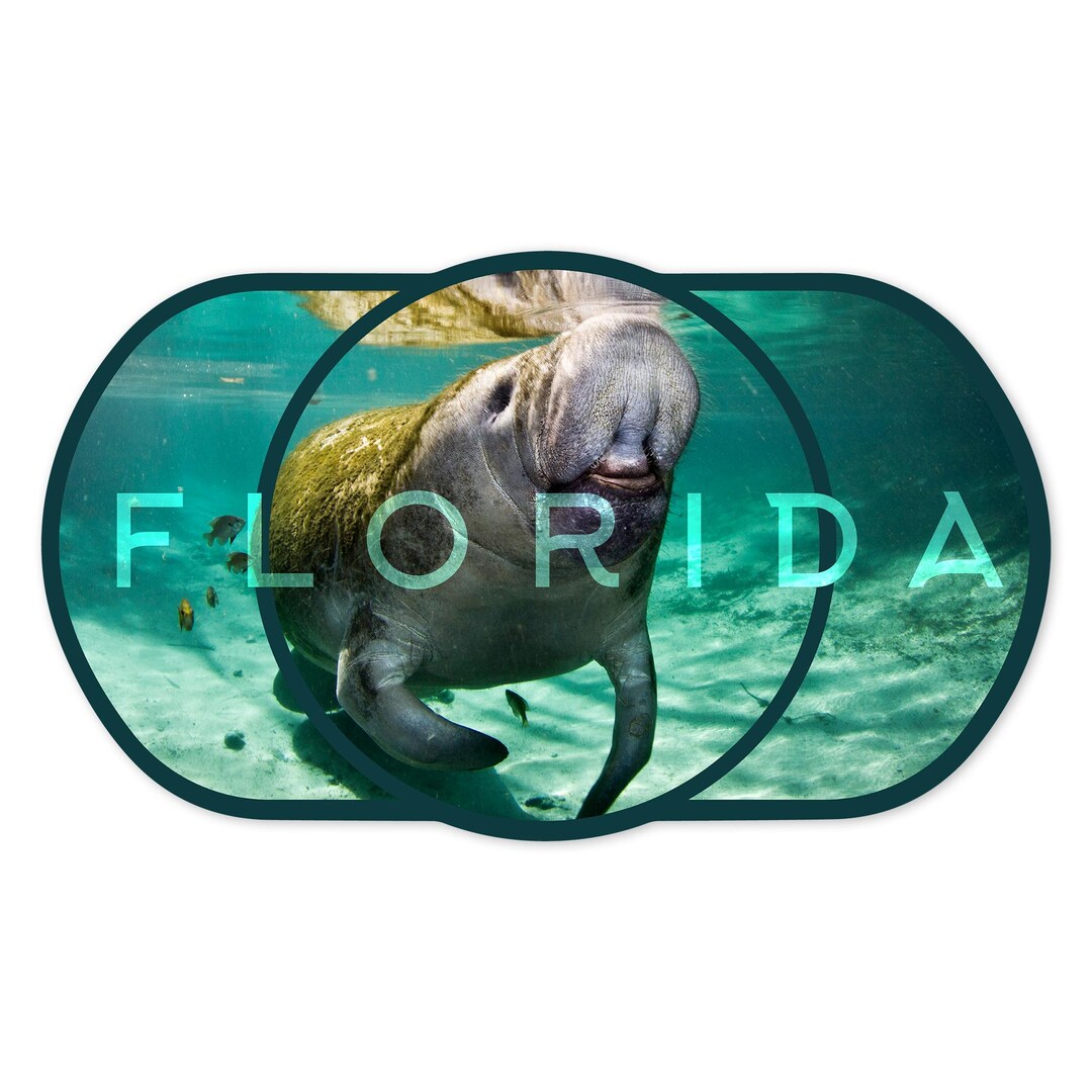 Sticker, Florida, Manatee, , Photography , Vinyl Die Cut, Waterproof ...