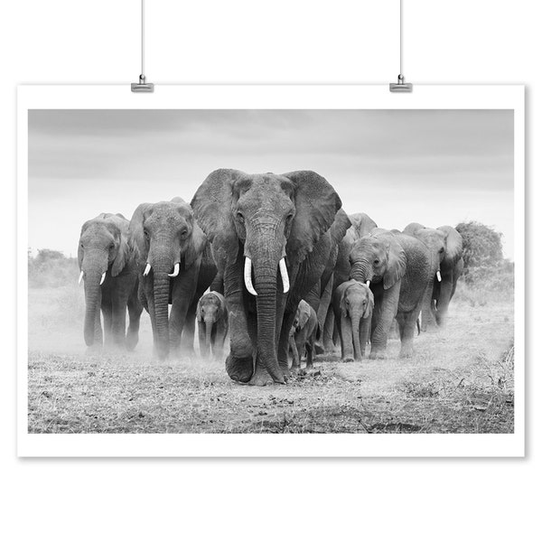 Elephant Art Print - Etsy