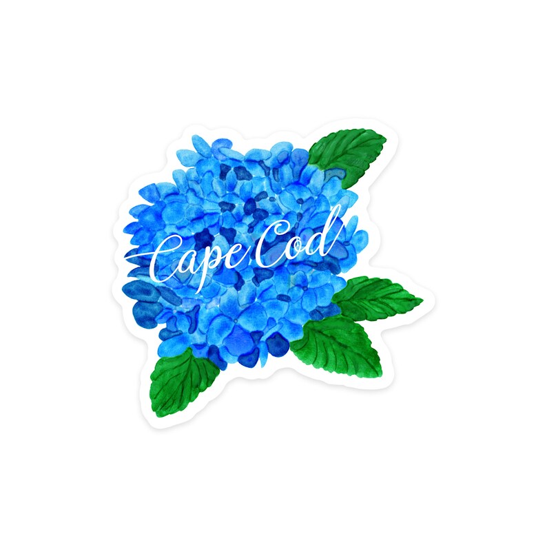Sticker Cape Cod Massachusetts Hydrangea Watercolor - Etsy