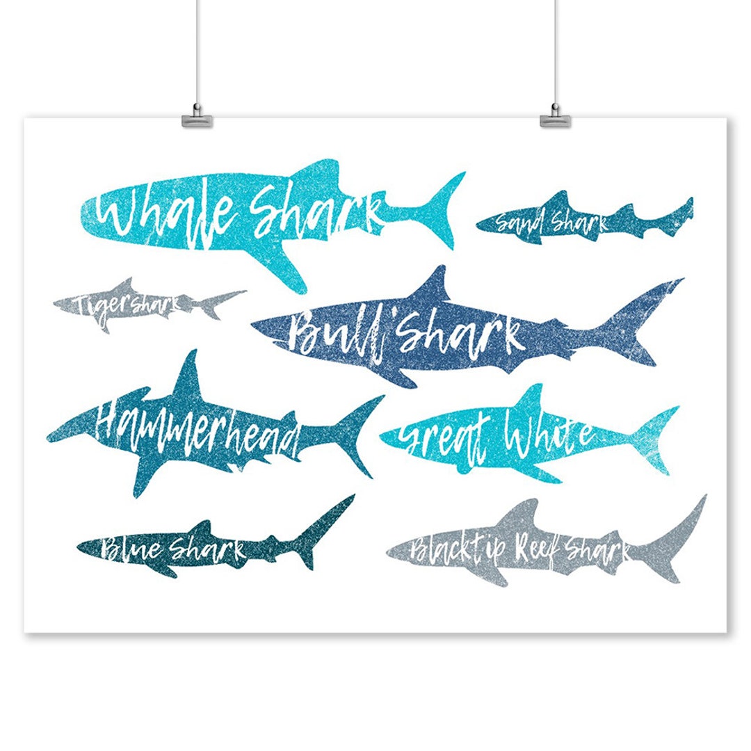 Prints Signs Sharks Pattern Shark Names Unique Metal Art - Etsy