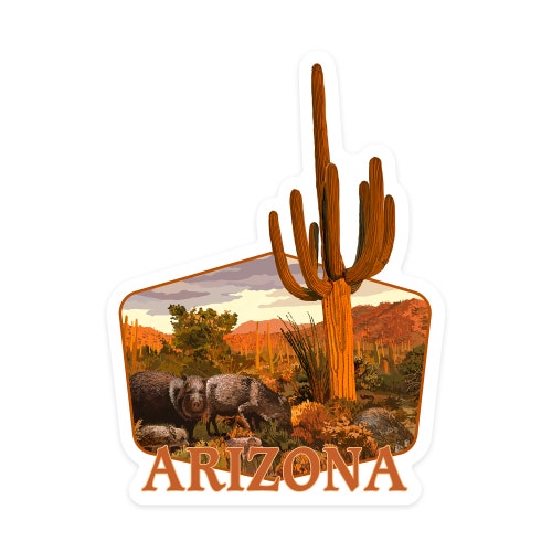 Arizona Outline Cactus Vinyl Sticker - Etsy