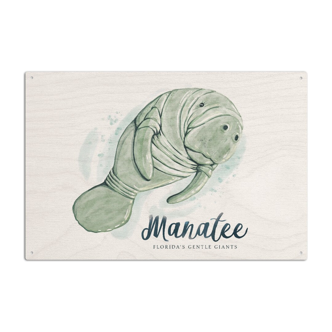 Birch Wood Manatee Florida's Gentle Giant Watercolor - Etsy