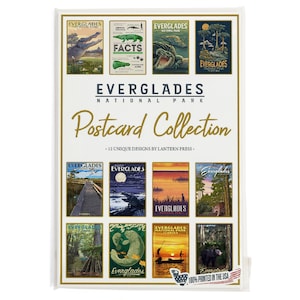 Postcards, Everglades National Park Set, Florida, 12 Different Original ...