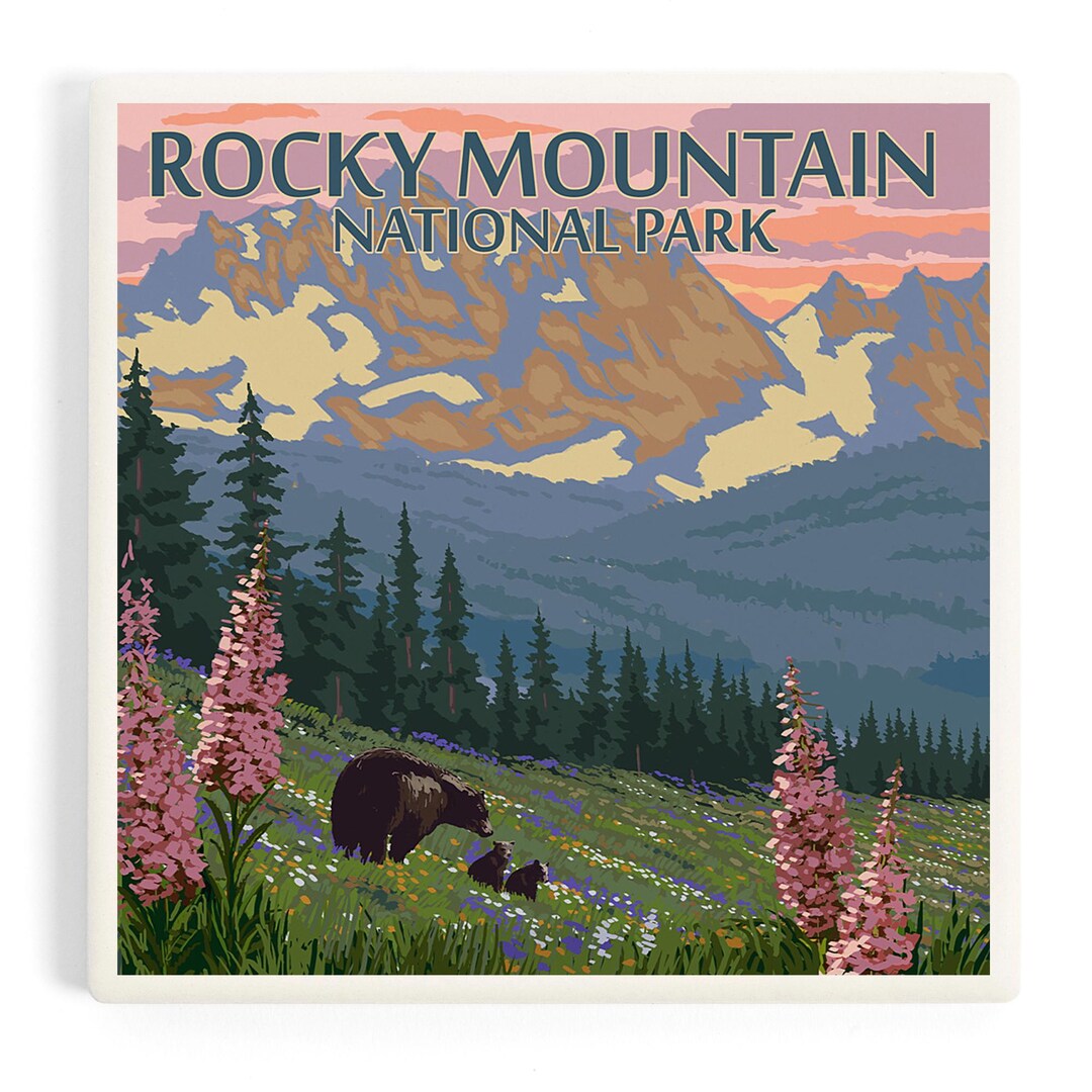 Coasters, Rocky Mountain National Park, Colorado, Bear and Cubs With ...