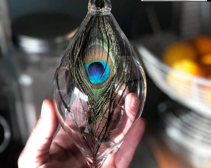 Ornament Blown Clear Lightweight Glass Ornament Real Peacock Feather ...