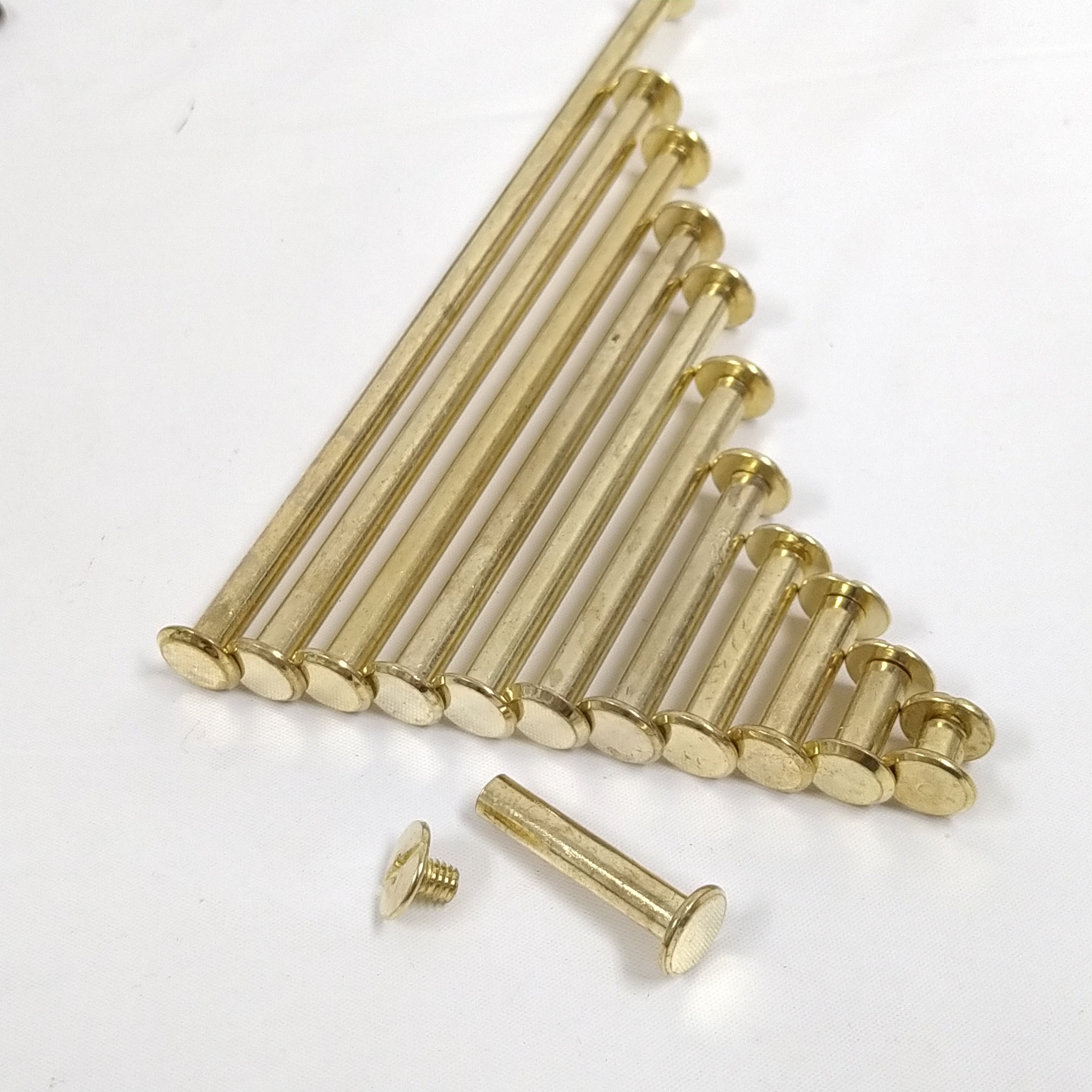 Dia.0.2 / Dia.5mm Gold Chicago Screws , Sheath Making , Binding Barrel ...