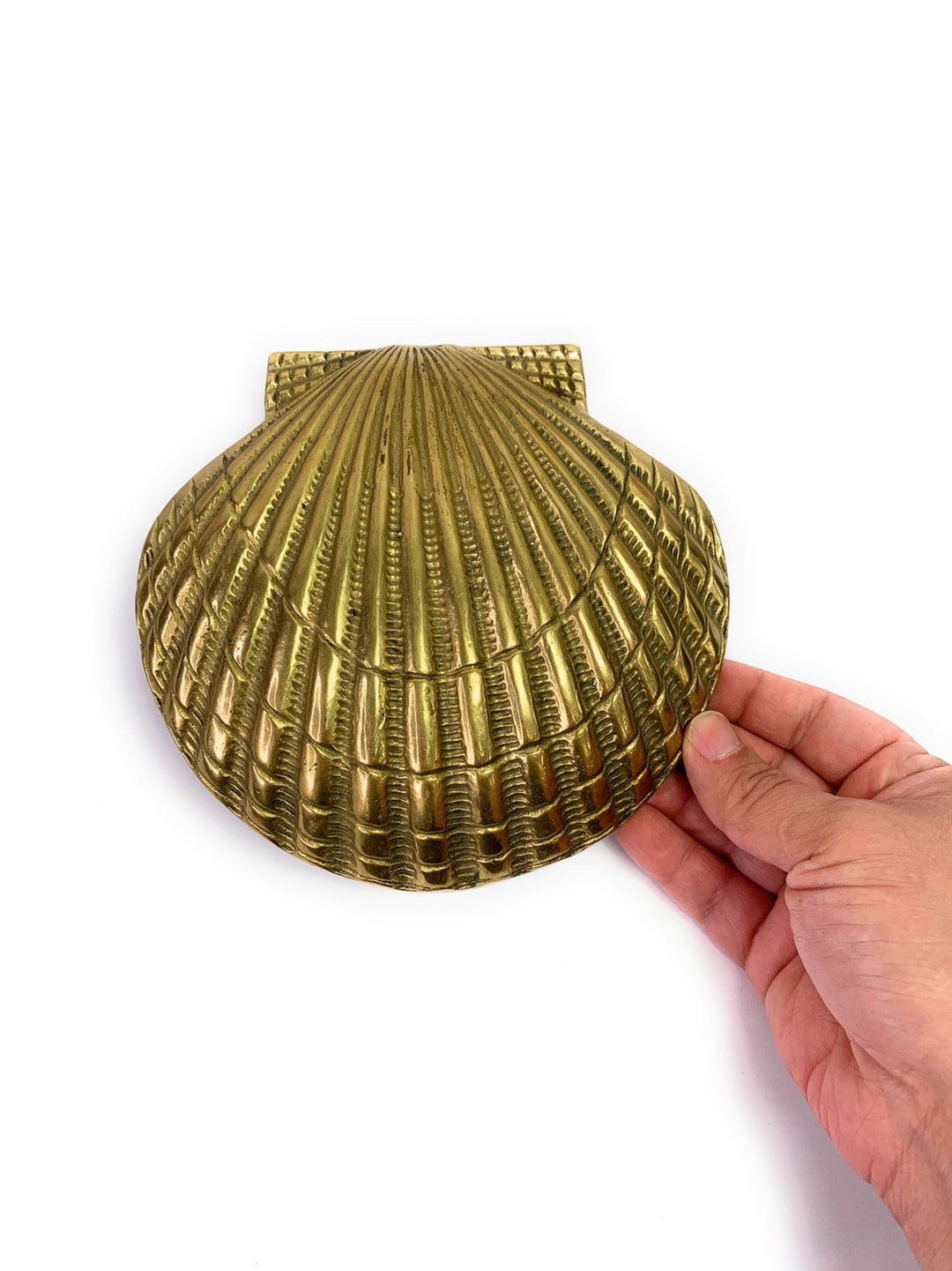 Vintage Brass Scallop Sea Shell Door Knocker, Nautical Brass Door ...