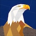 The Bald Eagle Foundation Paper Pieced Pattern, FPP Quilt Block - Etsy