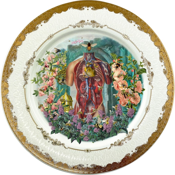 Anatomy Plates - Etsy