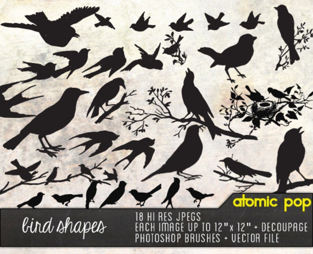 Instant Download // Birds & Aviary Silhouette Shapes // Digital File ...